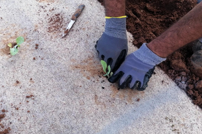 CLIC TERRA Biodegradable Mulch | Eco-Friendly Hemp & Hair-Based Farming ...