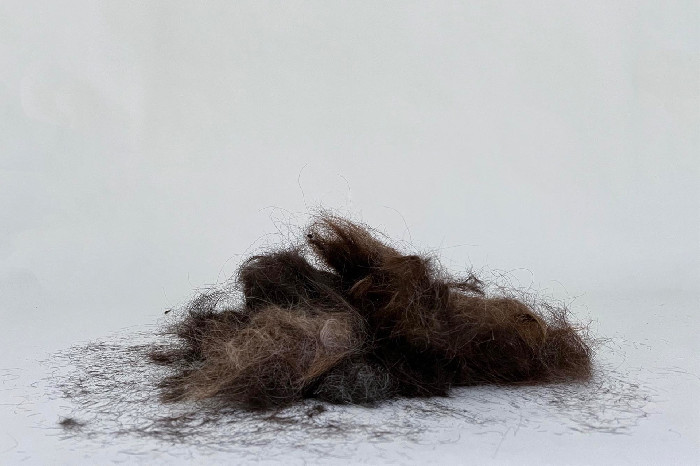 Why Hair? :: clicrecycle.net
